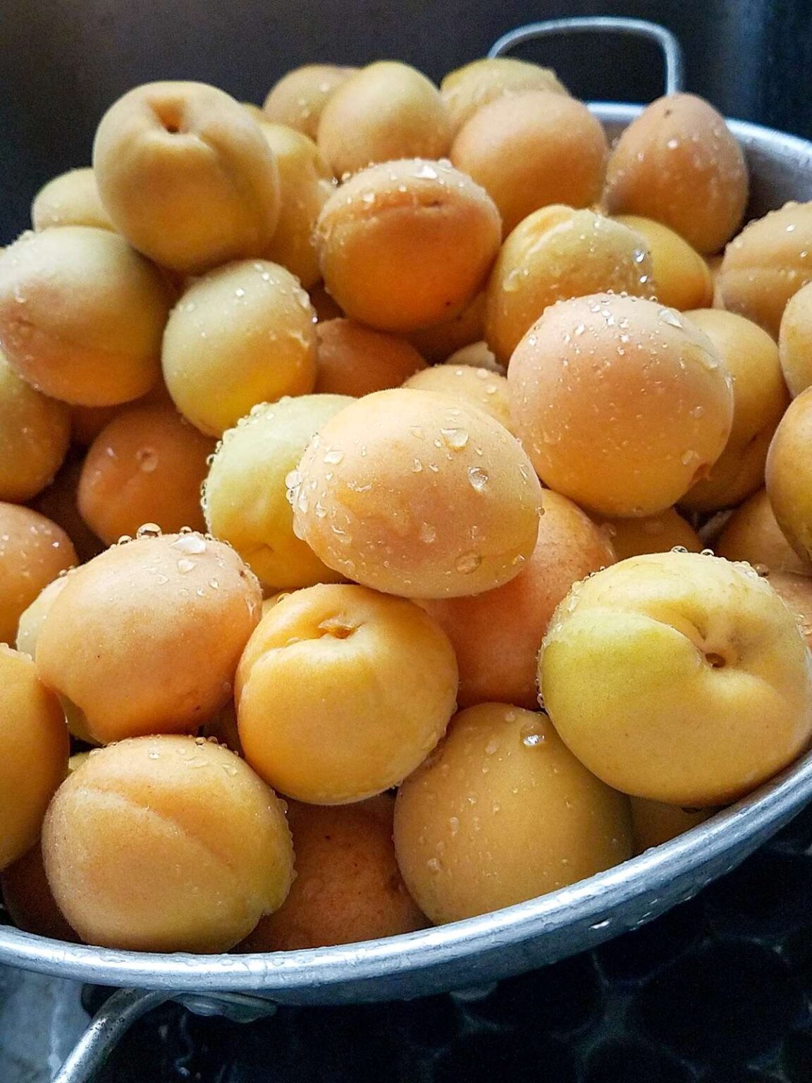 Fresh Apricot Pie - Cook This Again Mom