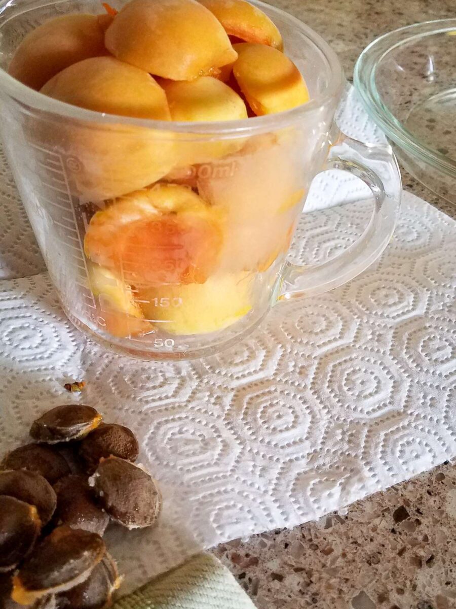 Fresh Apricot Pie - Cook This Again Mom